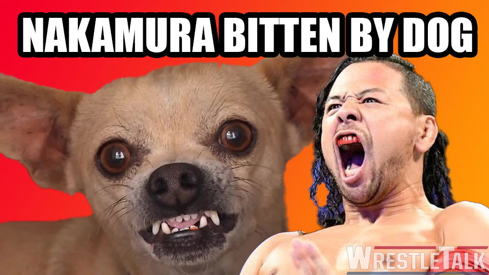 Shinsuke Nakamura injured by dog bite! - WrestleTalk