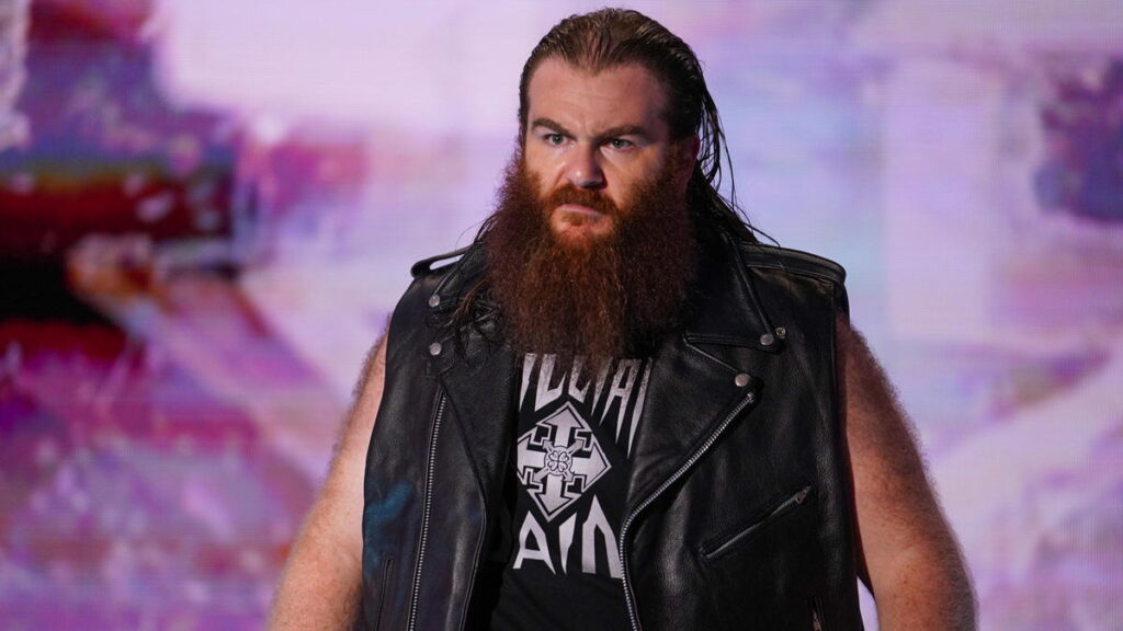 7 Stars To Join New Bo Dallas WWE Faction - Page 2 of 7 - WrestleTalk