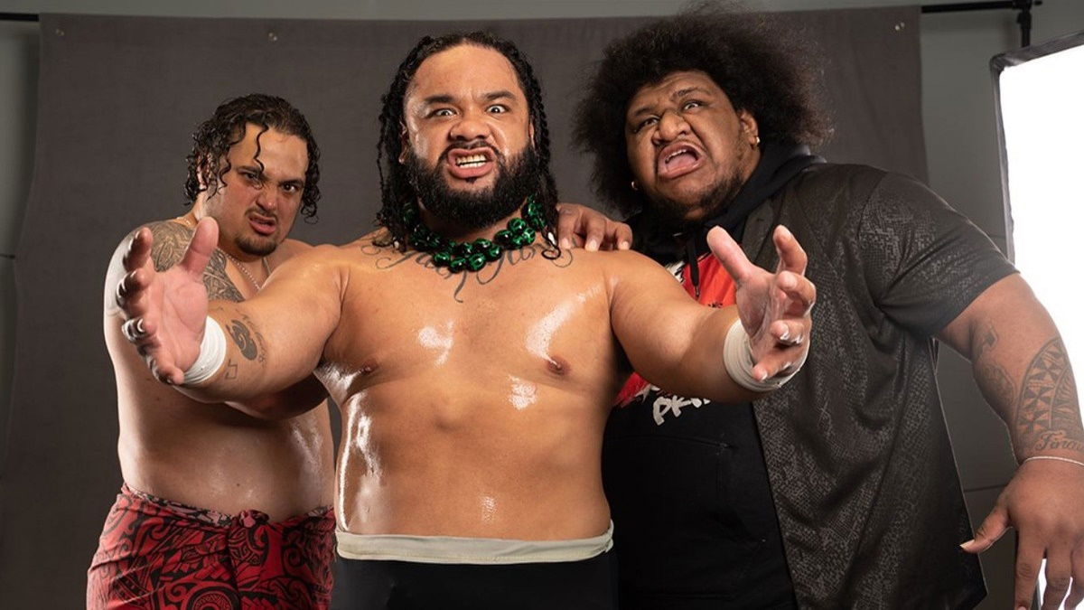 6 New WWE Bloodline Members Against Roman Reigns - Page 3 of 6 ...